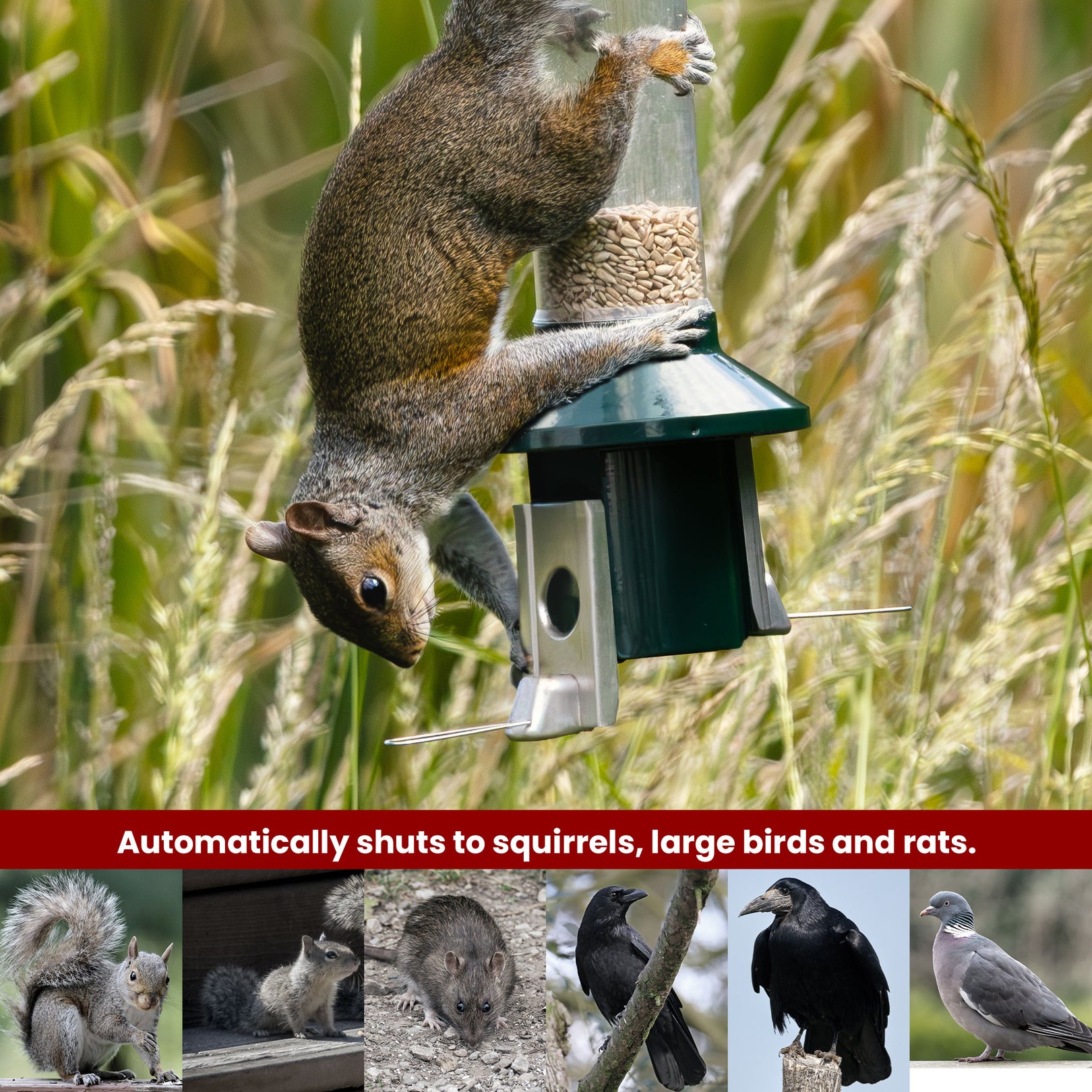 Roamwild PestOff Squirrel Proof Bird Feeder 2.0
