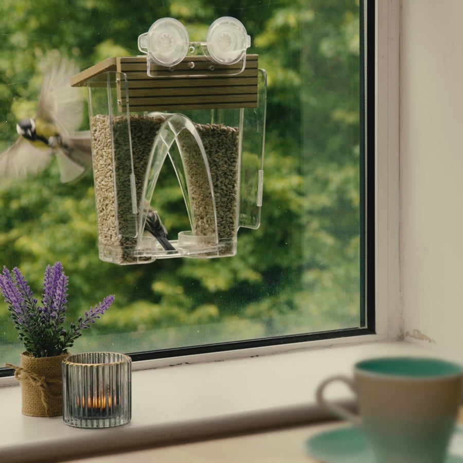 Roamwild Arch Window Bird Feeder