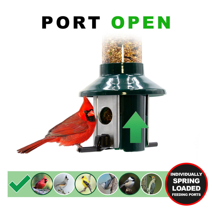PestOff Squirrel Proof Bird Feeder - Feed Songbirds Not Squirrels ...